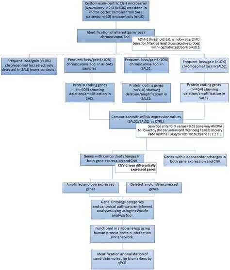 Experimental Workflow Of Multi Omics Analysis For Characterization Of