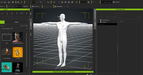 Cant Use Facial Profile Editor