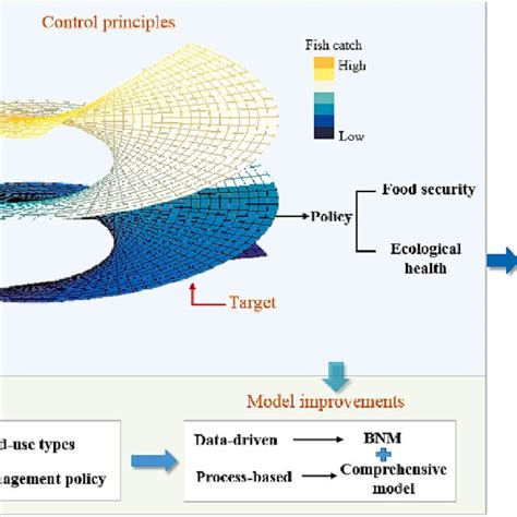 Conceptual Diagram Of Multi Dimensional Management Strategies