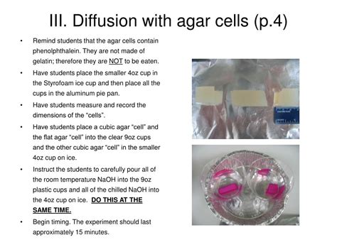 Ppt Agar Cell Diffusion Powerpoint Presentation Free Download Id