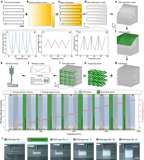 图1 通过fda 3dp新策略设计和制造水平梯度多孔结构