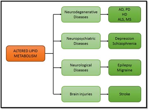 Altered Lipids Metabolism And Associated Brain Diseases Download