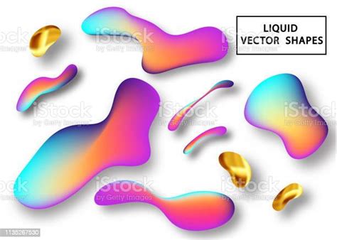 Fluid Shape Layout Isolated Template Fluid Gradient Elements Colorful