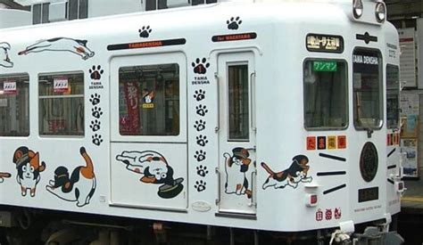 和歌山自由行攻略：必去景點、交通方式、美食與住宿一次掌握！ 樂吃購！日本 關西版