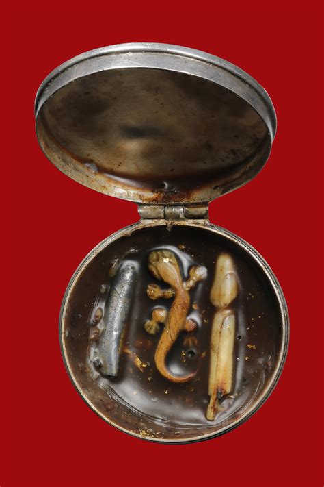 เปิดราคาค จิ้งจกหลวงปู่หน่ายวัดบ้านแจ้งทุกศิลป์ทุกอาจารย์