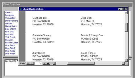 Client Mailing List Report For Retail Advantage Pos Software Point Of Sale Software Pos