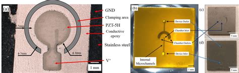 A Fabricated Microactuator With A Laser Cut Pzt Part Bonded To A Download Scientific Diagram