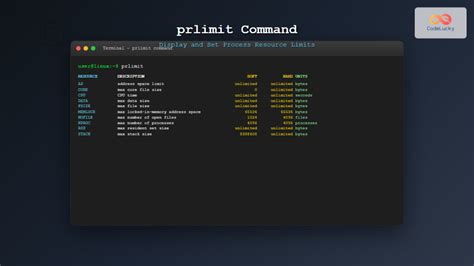Killall Command Linux Complete Guide To Kill Processes By Name Codelucky