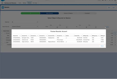 Salesforce Backup And Restore Astrea It Services