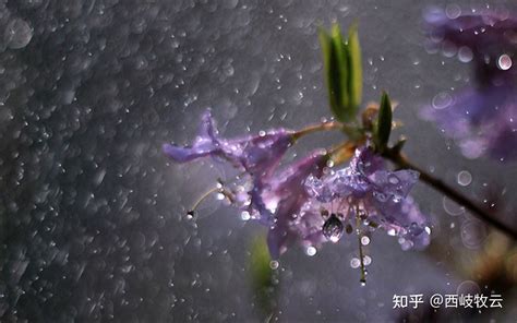 雨中漫步：那些绝美的雨天古诗 知乎