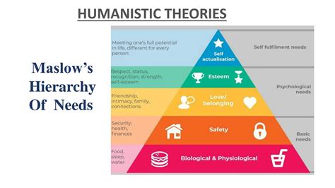 Solution Humanistic Theories Of Motivation Psychology Studypool