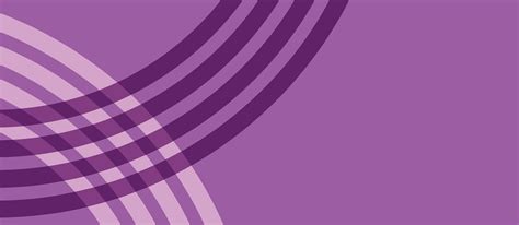 Ecosystem Graphs The Social Footprint Of Foundation Models Stanford Hai