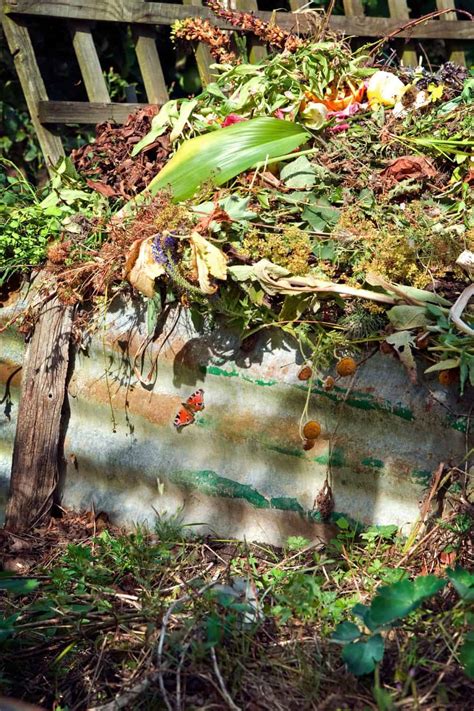 How Long Does It Take To Compost Tips For Faster