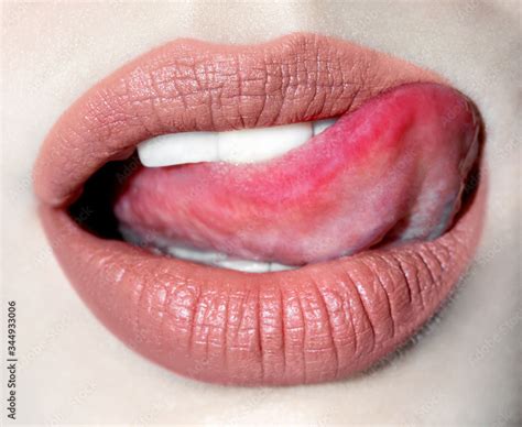 Seductive Female Lips Sexy Lips With Tongue Female Painted Lips