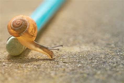 Fttn Speed Bump For Nbn