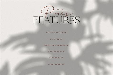 Hello Paris Modern Elegant Font Duo On Behance