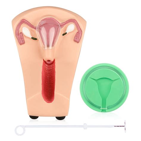 Simcoach Intrauterine Device Training Kit Iud Training Model Female Intrauterine Contraceptive