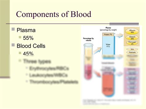 Solution Anemia Leukemia Laboratory Analysis Studypool