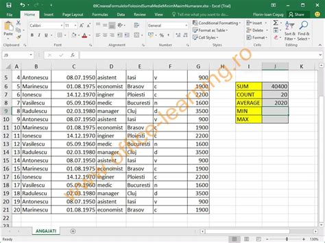 Microsoft Excel Capitolul 7 Formule Si Functii It Learning