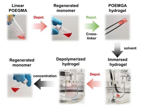 Catalyst Free Depolymerization Of Polymers Synthesized By Controlled