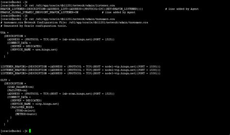 Existing Setup Before The Rac To Rac Dr Configuration