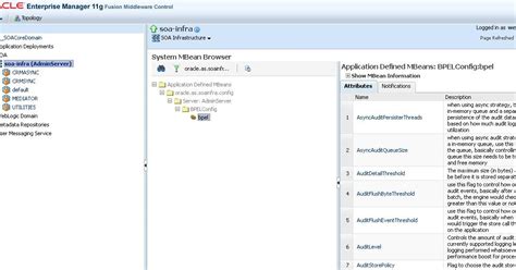 Audit Trail Configurations In Oracle Soa Suite 11g
