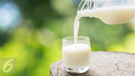 Ini Perbedaan Susu Pasteurisasi Dan Uht Global