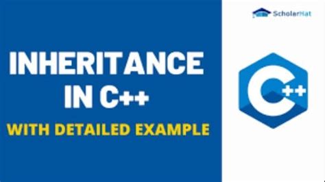 inheritance“inheritance the backbone of object oriented programming” by amir ali medium