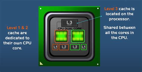 Discover How Does CPU Cache Work Guide BlackLotusGaming Net