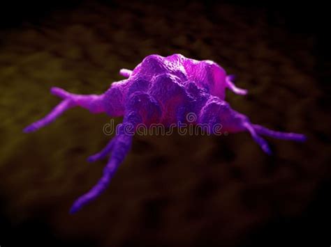 Cellula Del Macrofago Illustrazione Di Stock Illustrazione Di Anatomia 49401098