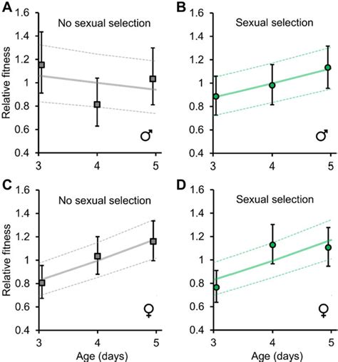 Figure 1 From EVOLUTION OF SEX SPECIFIC RATES OF DEVELOPMENT Cost To Adult Size Wiklund And