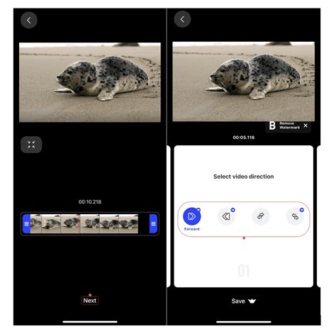 How To Loop A Video On IPhone Ways