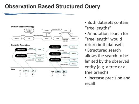 ppt sonet scientific observations network and oboe extensible