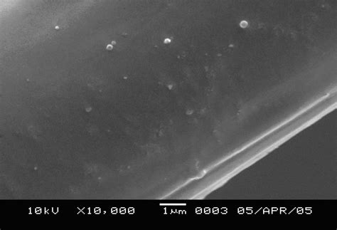 纳米氧化锌聚丙烯纤维的抗菌性能研究 A Study of Antimicrobial Ability of the Nano Zinc