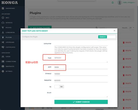 api 网关 kong 数据库记录请求响应报文 阿里云开发者社区