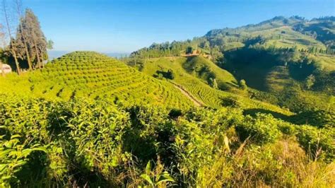 Panchthar District The Sandesh Neupane