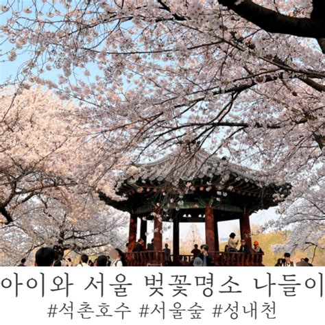 아이와 서울 벚꽃 명소 나들이 석촌호수 서울숲 성내천 벚꽃길 위치 개화 정보 네이버 블로그