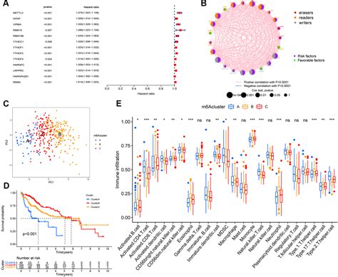 M6a Regulator Mediated Methylation Modification Patterns And Tumor