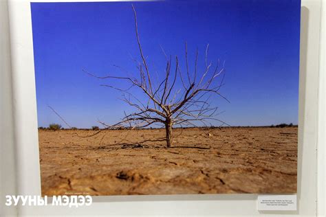 Фото “Уур амьсгалын өөрчлөлт”