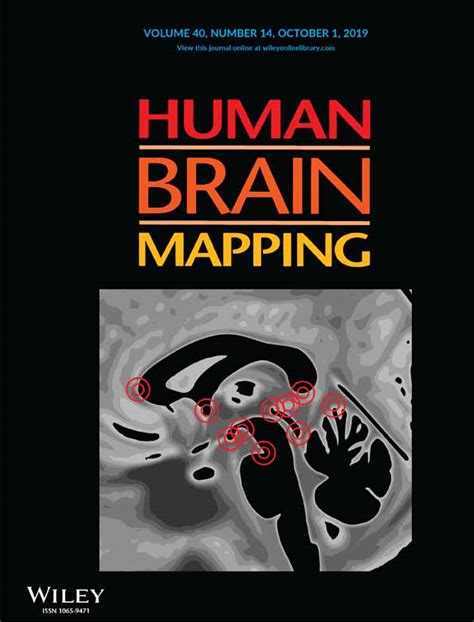 Exploring Spatiotemporal Neural Dynamics Of The Human Visual Cortex Yang 2019 Human Brain