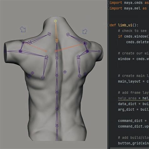 artstation advanced clavicle rig python script in 2025 rigs body anatomy clavicle