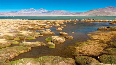 Laguna Santa Rosa Din Parcul Național Nevado Tres Cruces Chile