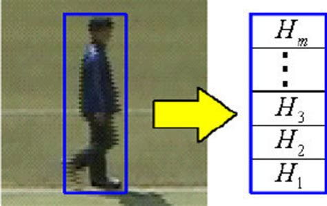 Horizontal Split Histogram Download Scientific Diagram