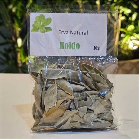 Boldo Chileno Seco Chá De Boldo Folhas De Boldo Para O Fígado E