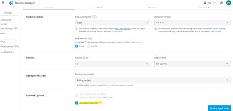 Racer Api Anypoint Speedway
