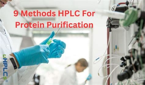 9 Methods Hplc For Protein Purification You Interested Uhplcs
