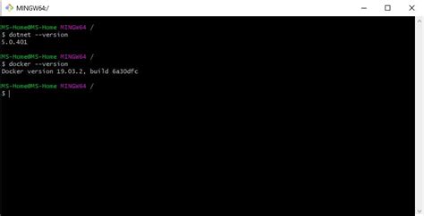 Setting Up A Net 5 Web Api Running It In Docker For Beginners