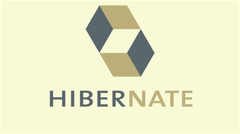 Hibernate Primary Key Generation Strategies Developers Ground