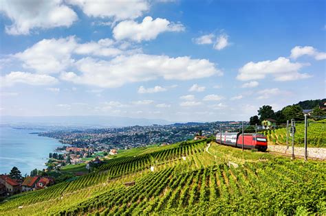 스위스 제네바 호수 근처 Lavaux 포도 원 테라스에서 산 훈련 기차에 대한 스톡 사진 및 기타 이미지 기차 0명 Unesco 조직된 단체 Istock