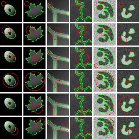 The Robustness Of Our Method To The Initial Contour Download